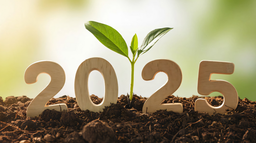 Gladioli – Wholesale.hadeco.co.za