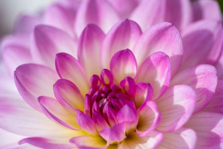 Hadeco's Wholesale Website – Wholesale.hadeco.co.za