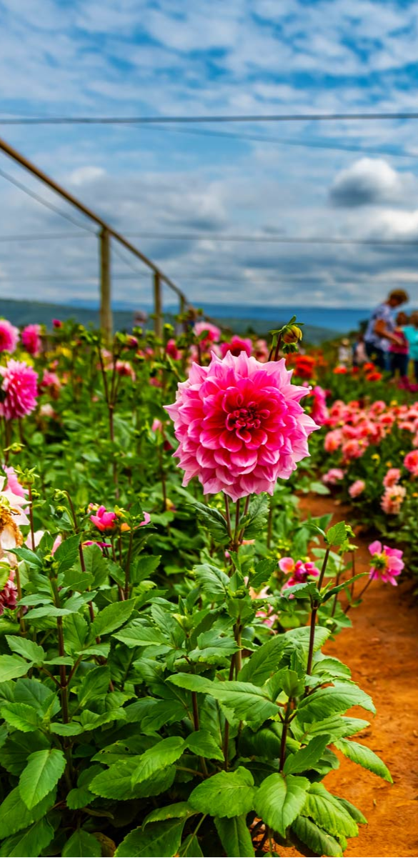 Hadeco's Wholesale Website – Wholesale.hadeco.co.za