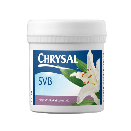 Chrysal – Wholesale.hadeco.co.za