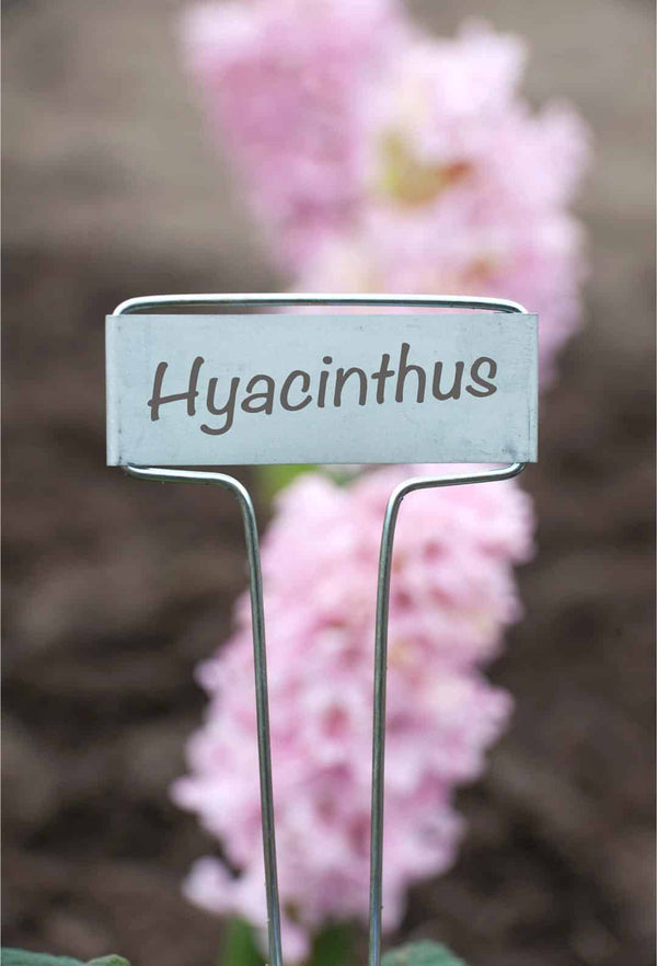 6 Piece - Zinc Plant Labels - 16cm – Wholesale.hadeco.co.za
